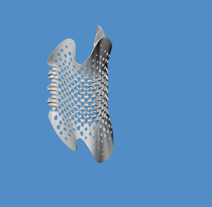 Shell Lace Structure — tonkin liu