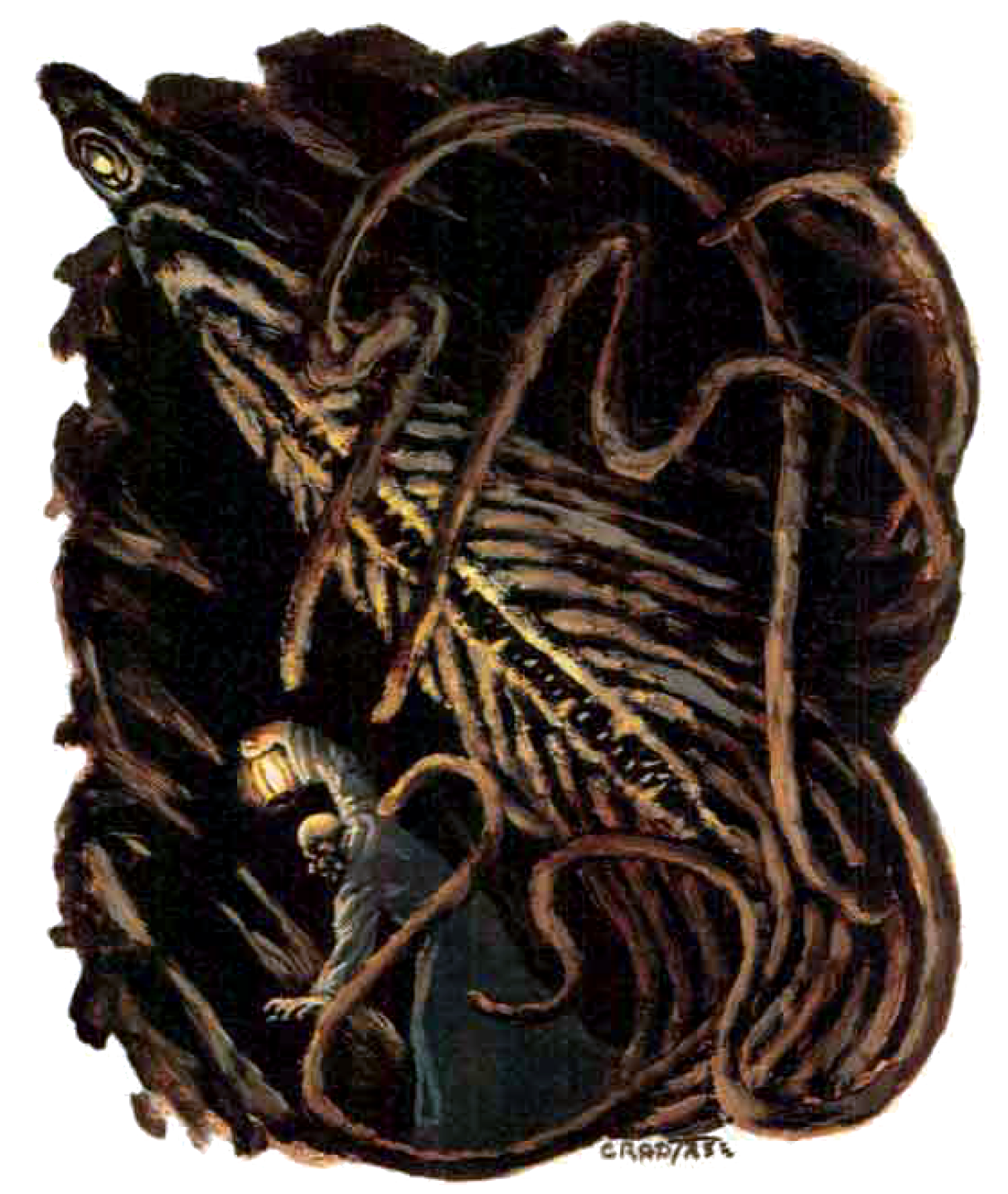 Deep Dive - The Mind Flayer — Dump Stat Adventures