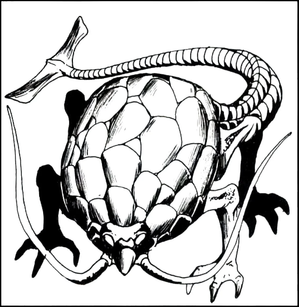 Deep Dive - Rust Monster — Dump Stat Adventures