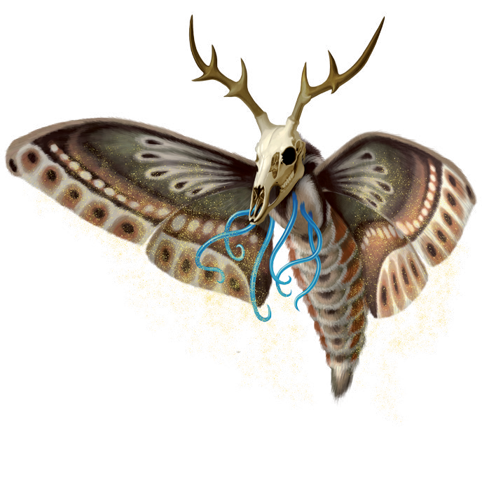 Exploring the Fey Plane — Dump Stat Adventures