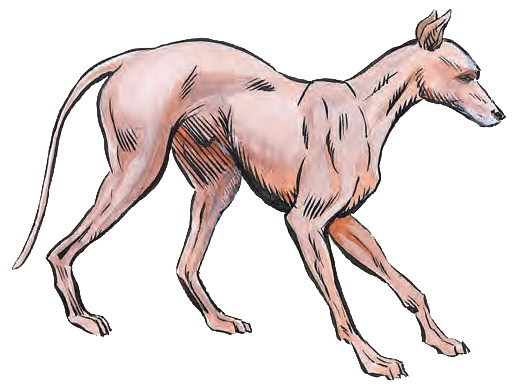 Deep Dive - The Blink Dog — Dump Stat Adventures