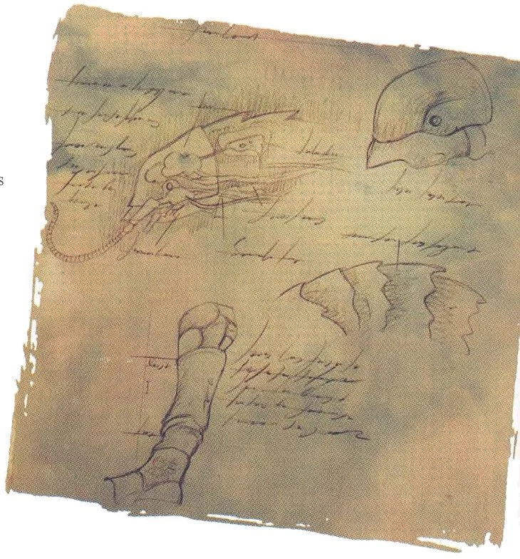 Deep Dive - The Chuul — Dump Stat Adventures