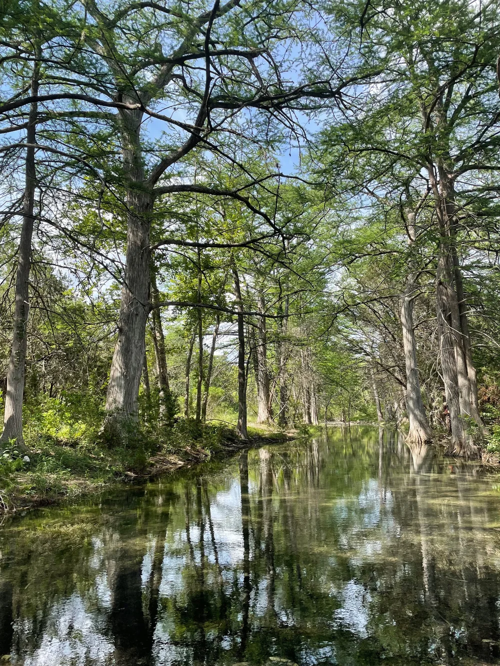 Third Eye Tribe of Venus Rising