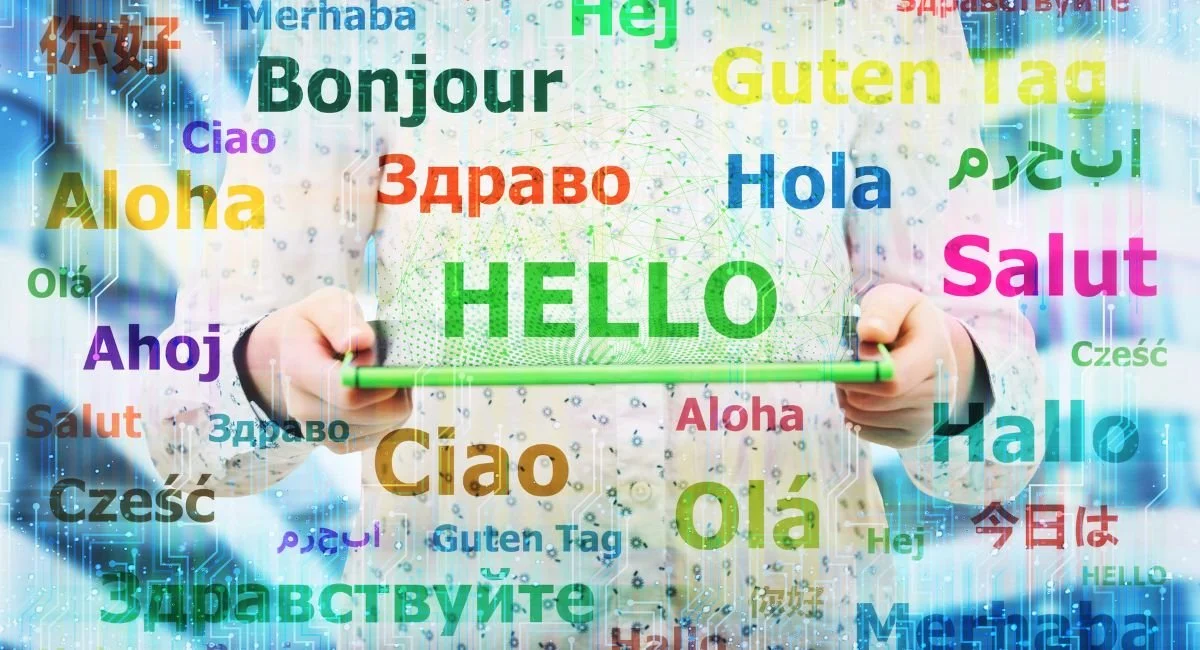 Language Access Gaps — IgNITE Lab