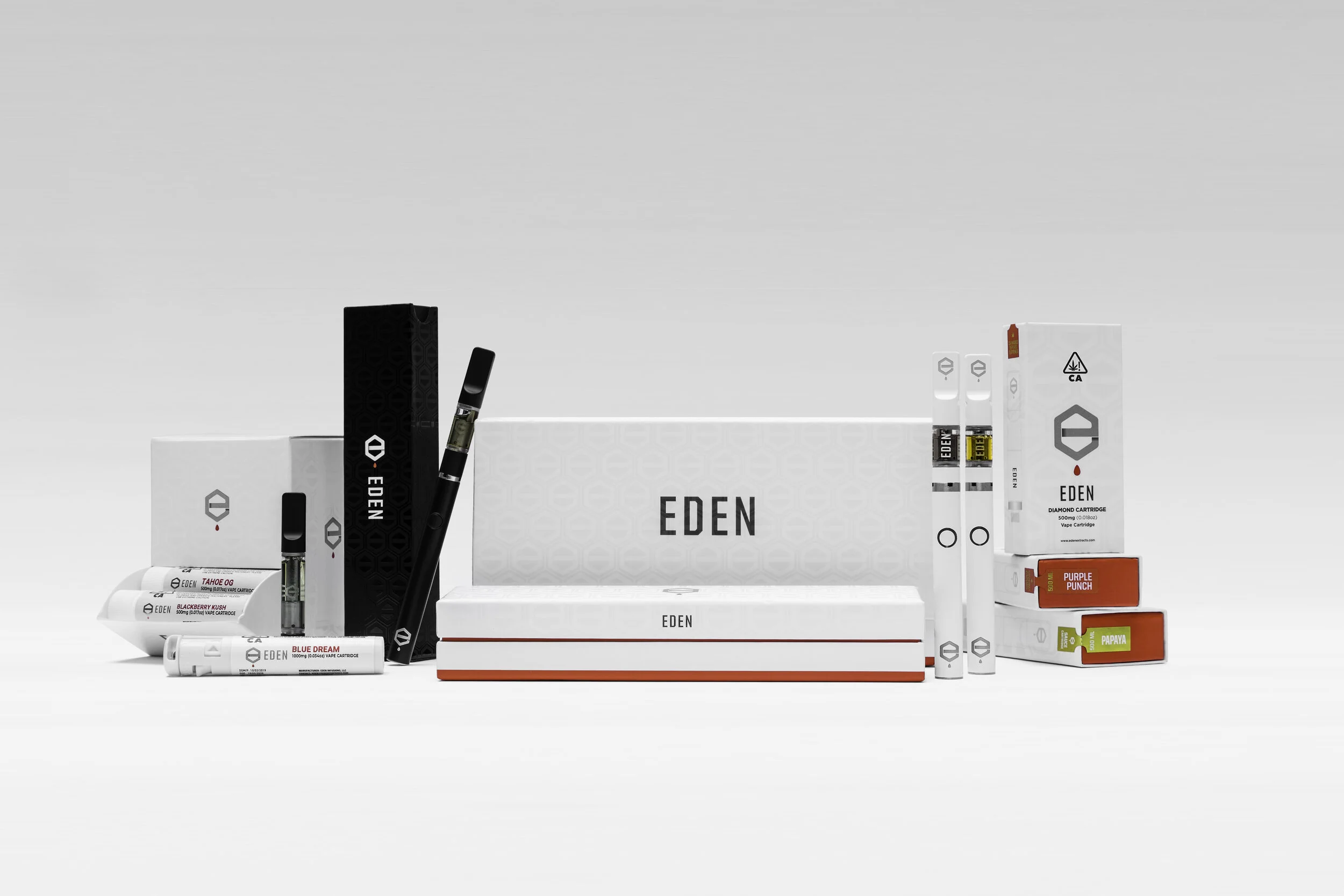EDEN ENTERPRISES