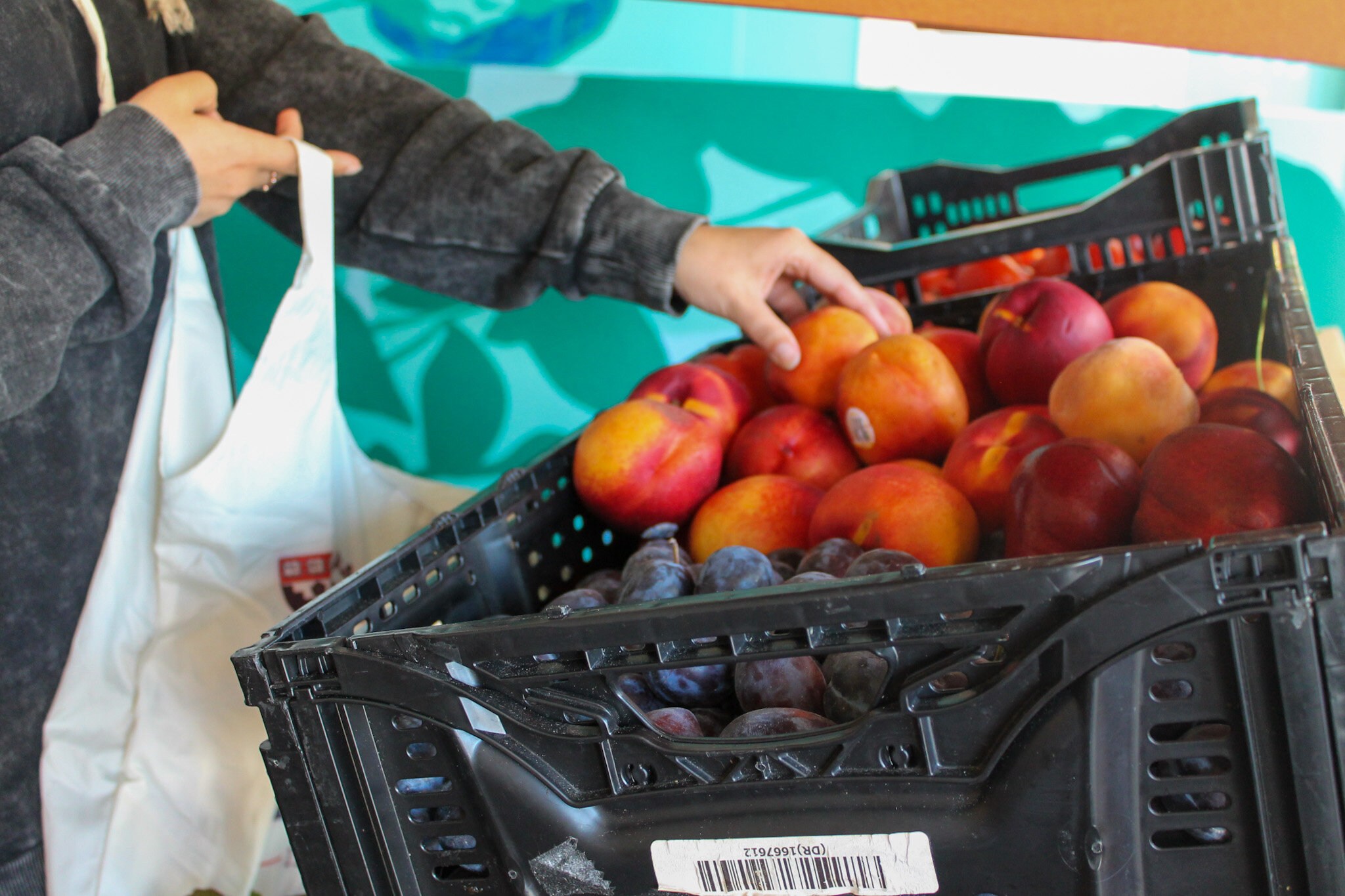 Rescued Food Market — Food Stash Foundation