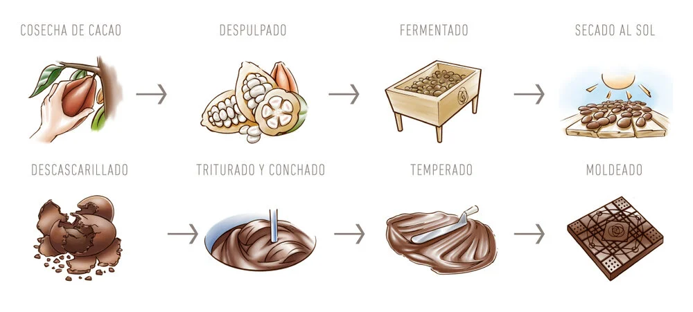 El Proceso Del Chocolate - ajore