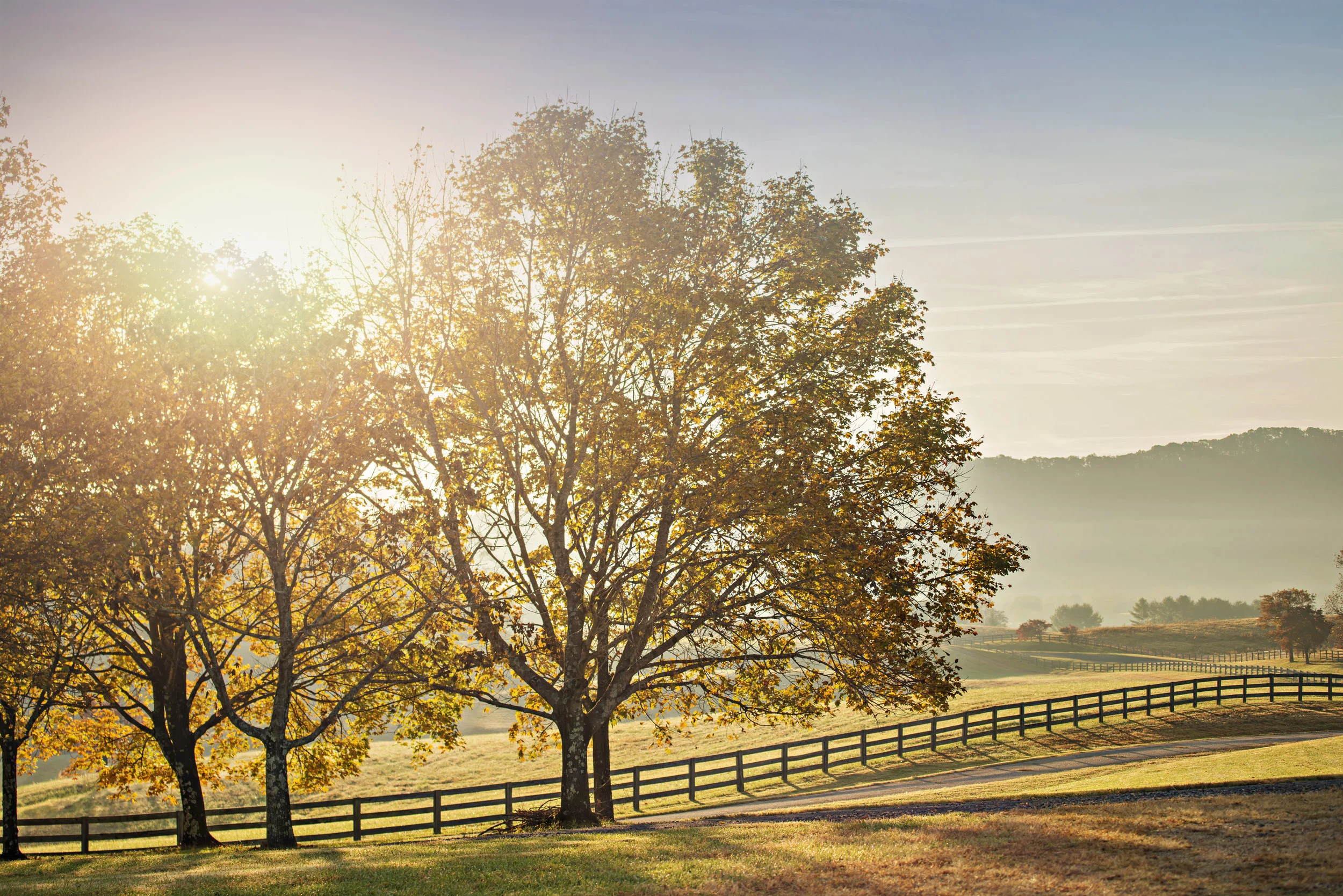 Castleton Meadows | Historic Farm & Virginia Wedding Venue