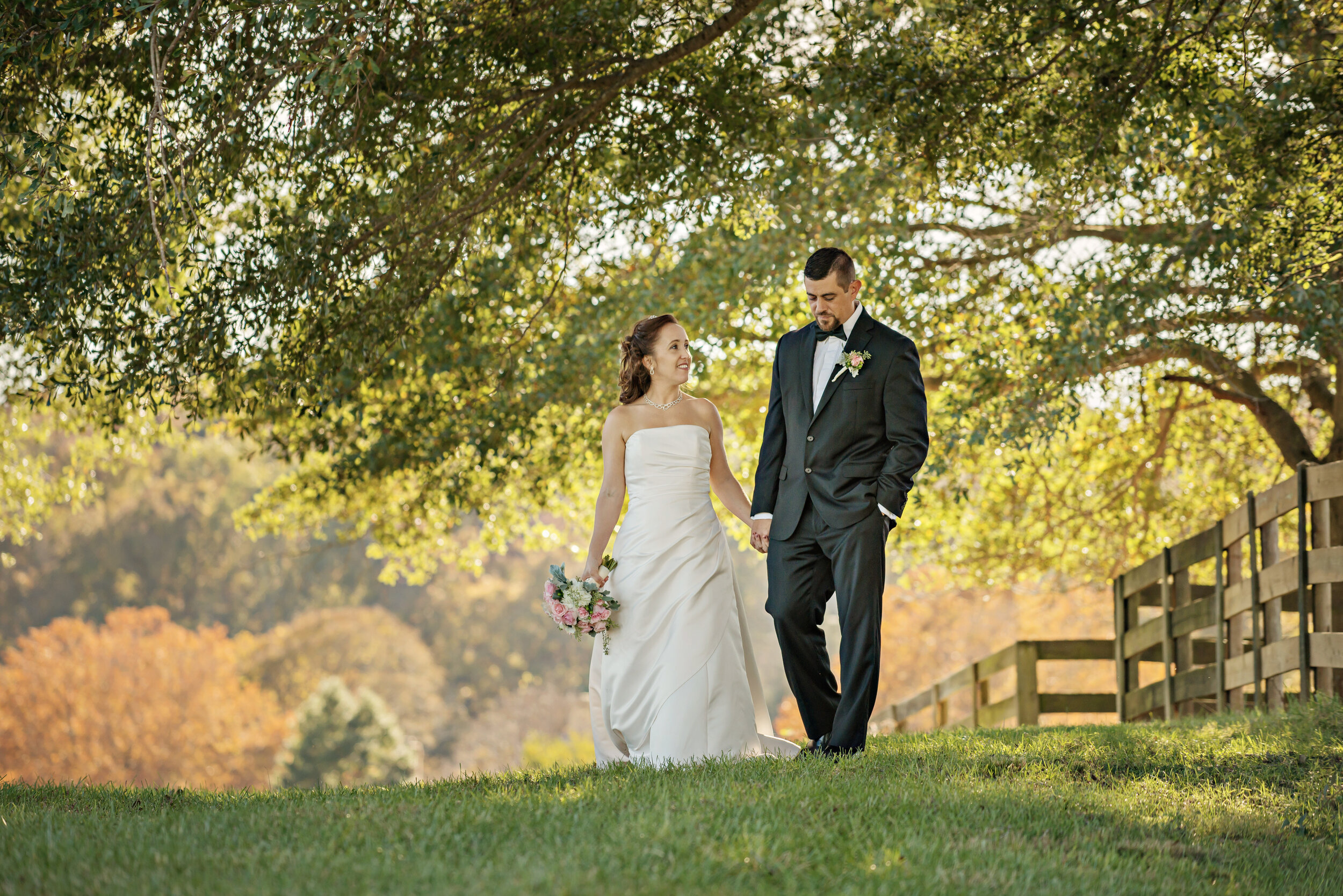 Photo Gallery — Castleton Meadows