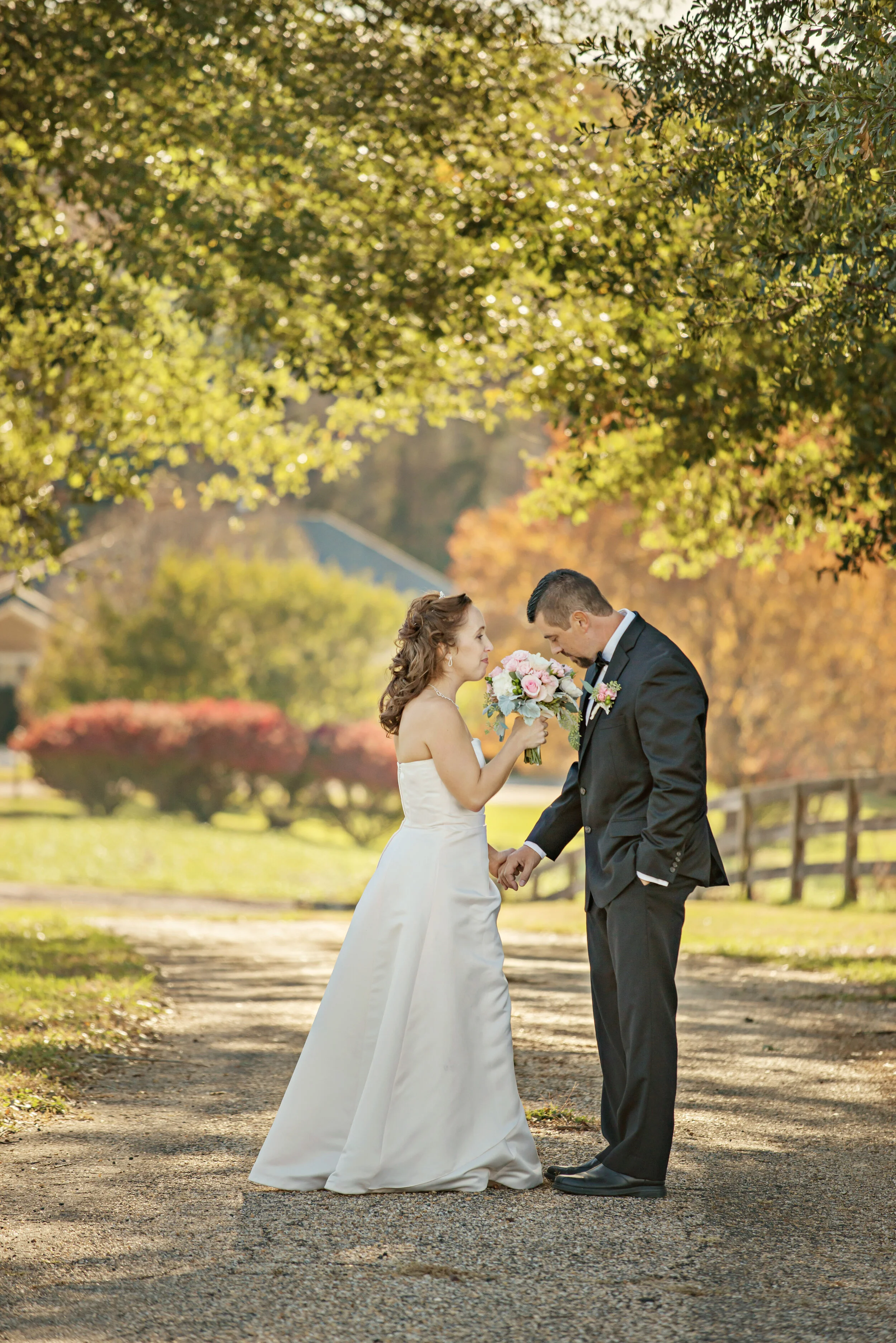 Photo Gallery — Castleton Meadows