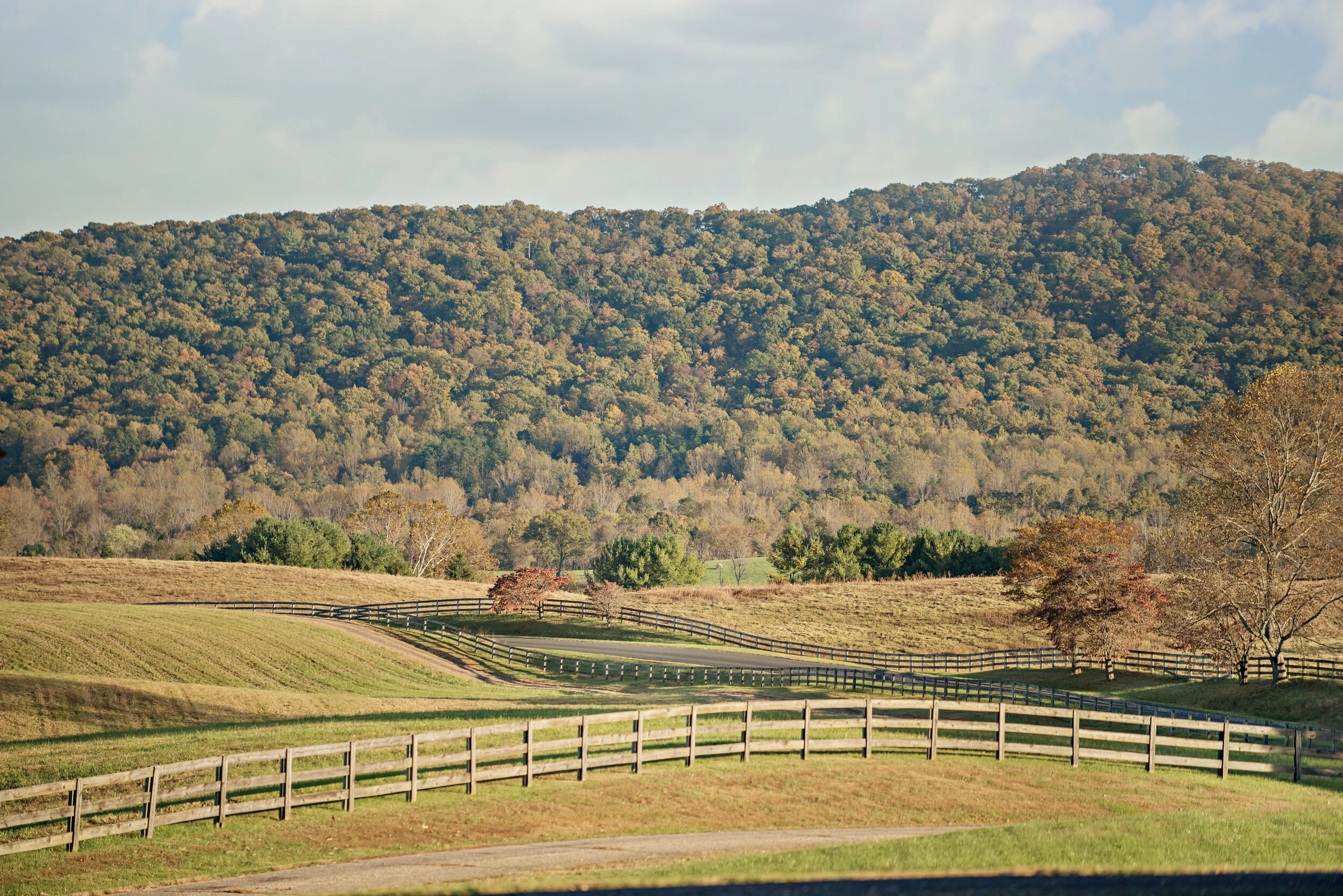 Virginia Corporate & Group Retreats | The Meadows at Castleton ...