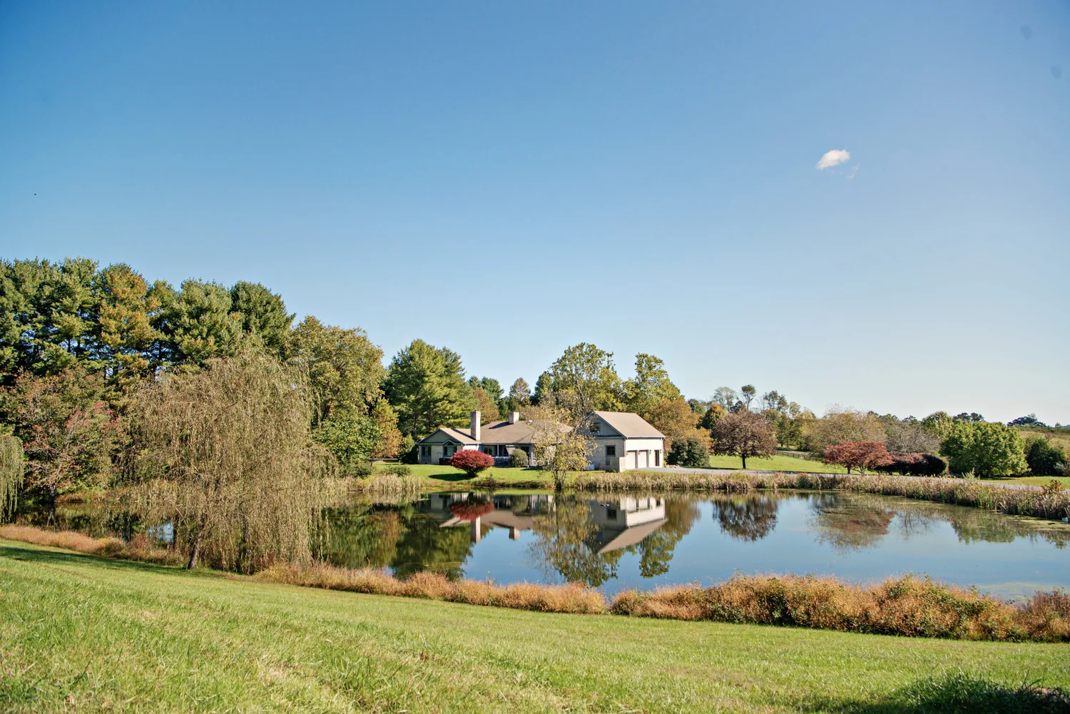 Photo Gallery - Magnolia Page