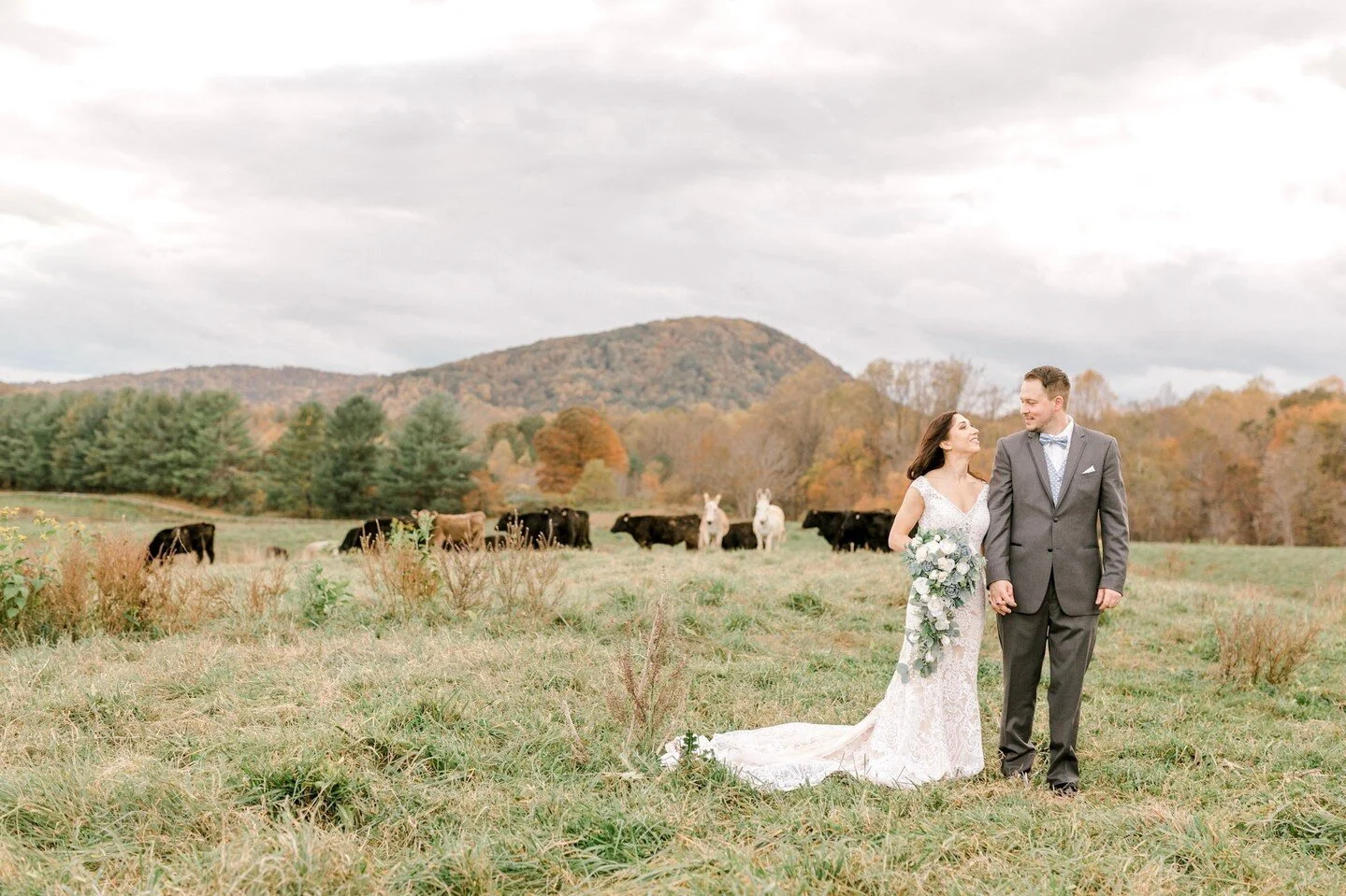 Virginia Vacation Homes & Wedding Venue | Castleton Meadows