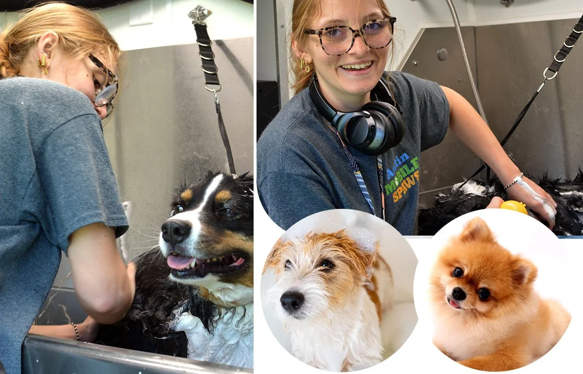 Austin Mobile Spaws Grooming Team — Mobile Spaws