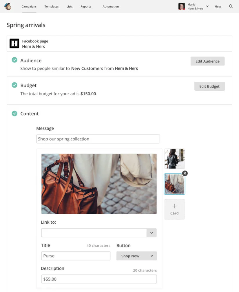 Mailchimp introduces Facebook Ad Campaigns — Liz Martin Creative, LLC