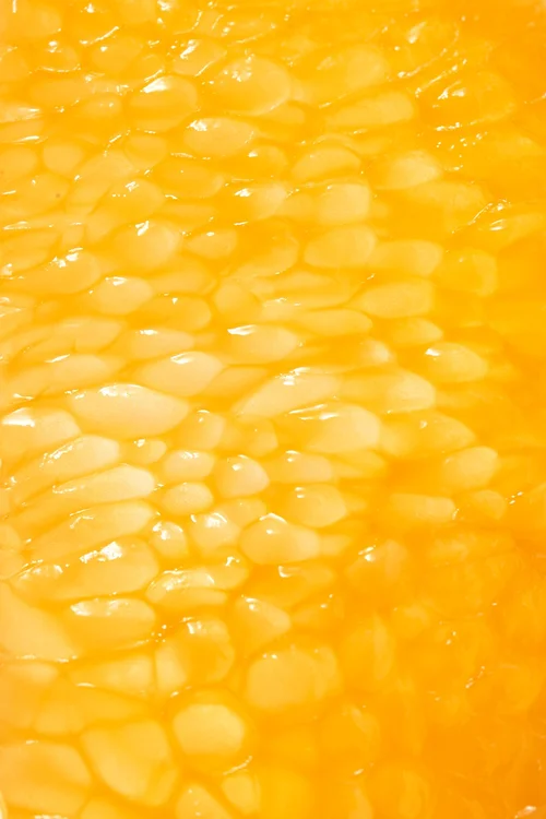 Food Photography | For an Effective Visual Communication — Viviane ...