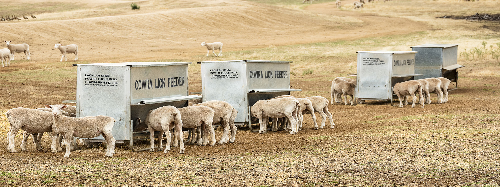 Rural - Fencing, tools and stock feeders - Power Tools Plus