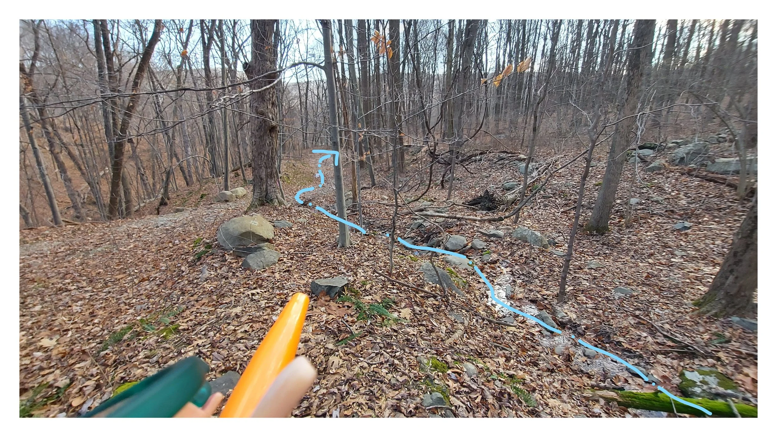 Woodland Stream Realignment — ASPECT 120