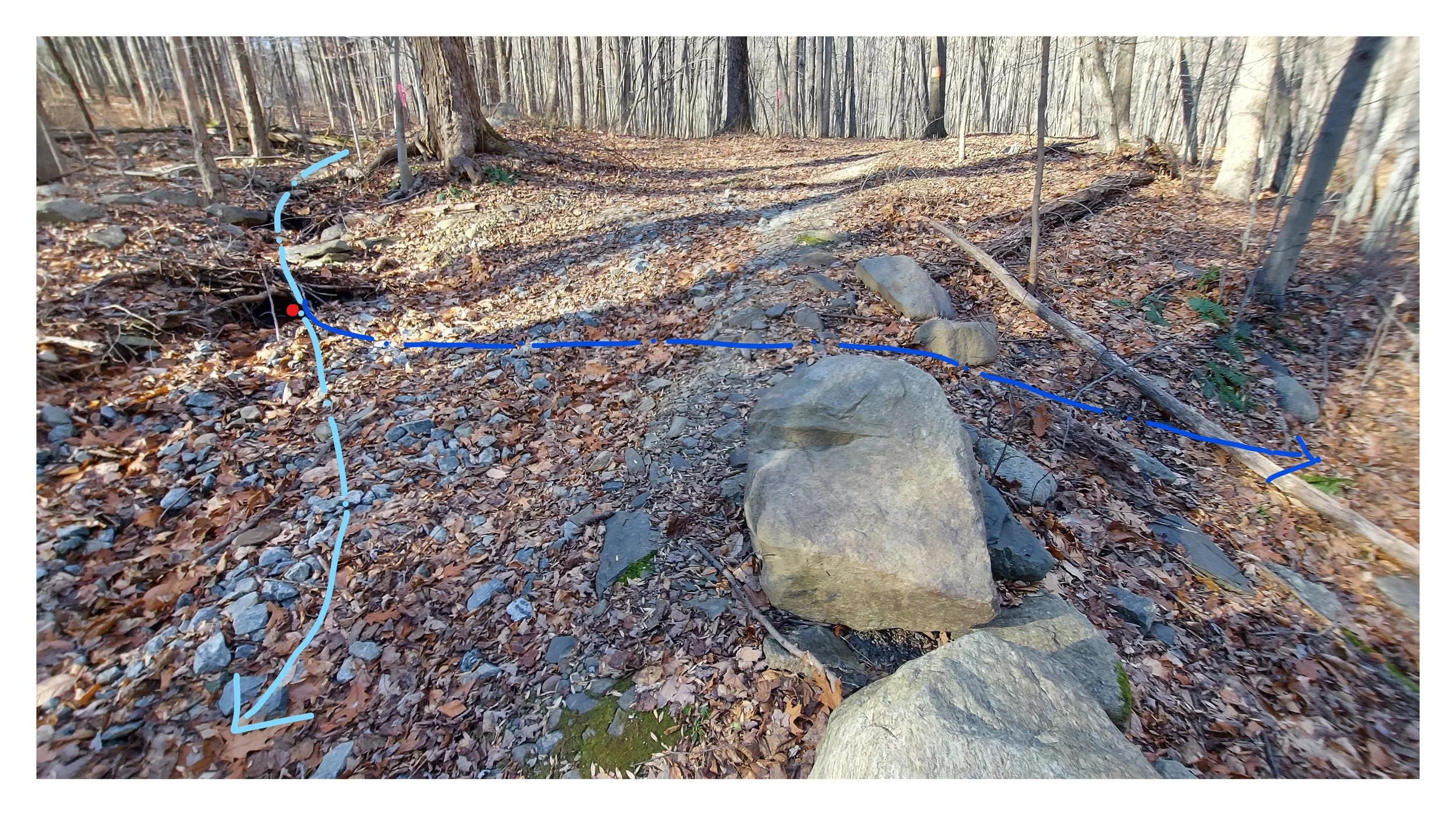 Woodland Stream Realignment — ASPECT 120