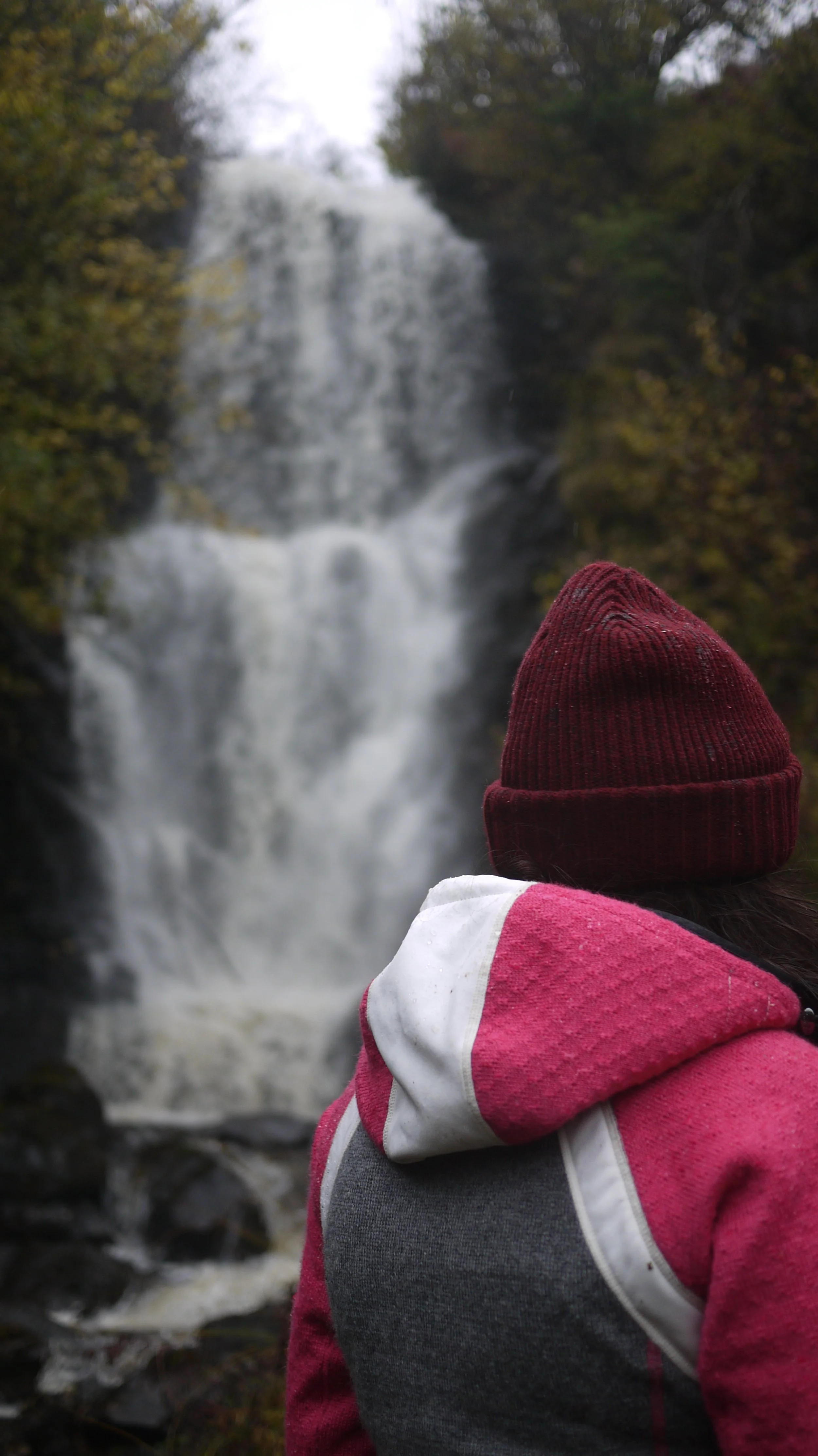 Gallery — Emma Estrela