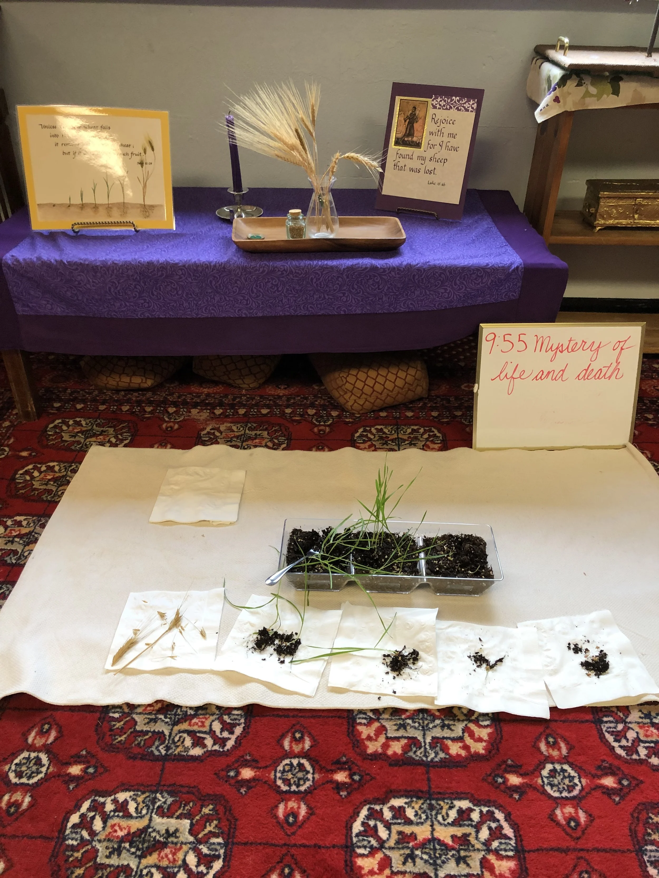 Level II Atrium — Cultural and Catechetical Montessori Association