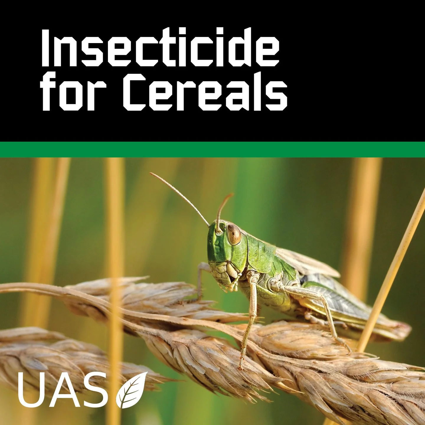 Insecticide for Cereals | Insecticide for Wheat | Imidacloprid ...
