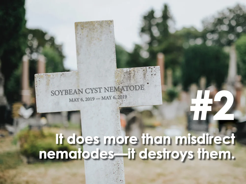 BioST Nematicide vs Competitors | Unified Ag Solutions