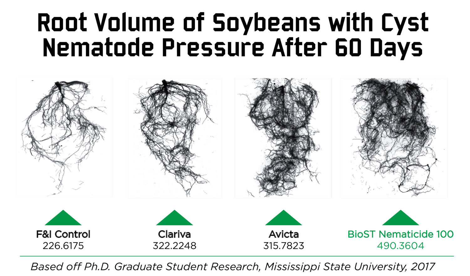 Broad-Spectrum Nematicide to Fight Nematodes | Soybean Nematicide ...
