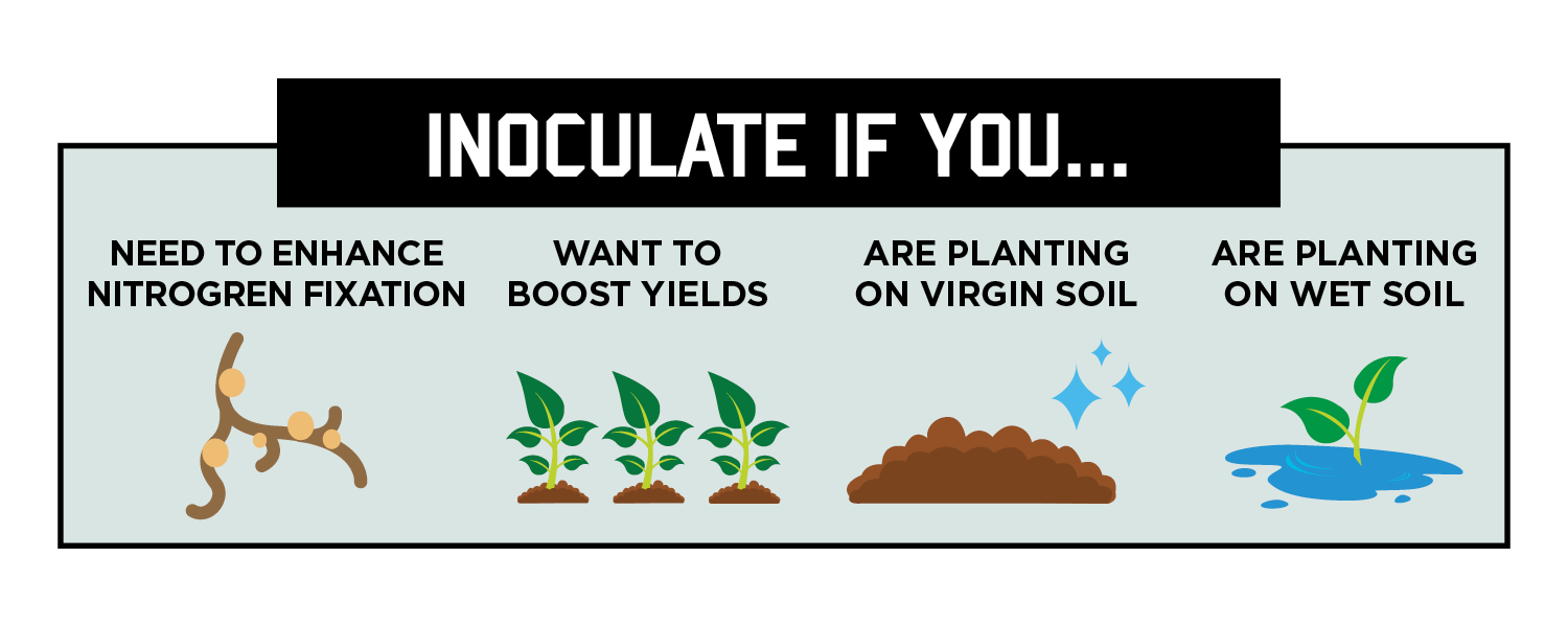 Soybean Inoculants | Unified Ag Solutions