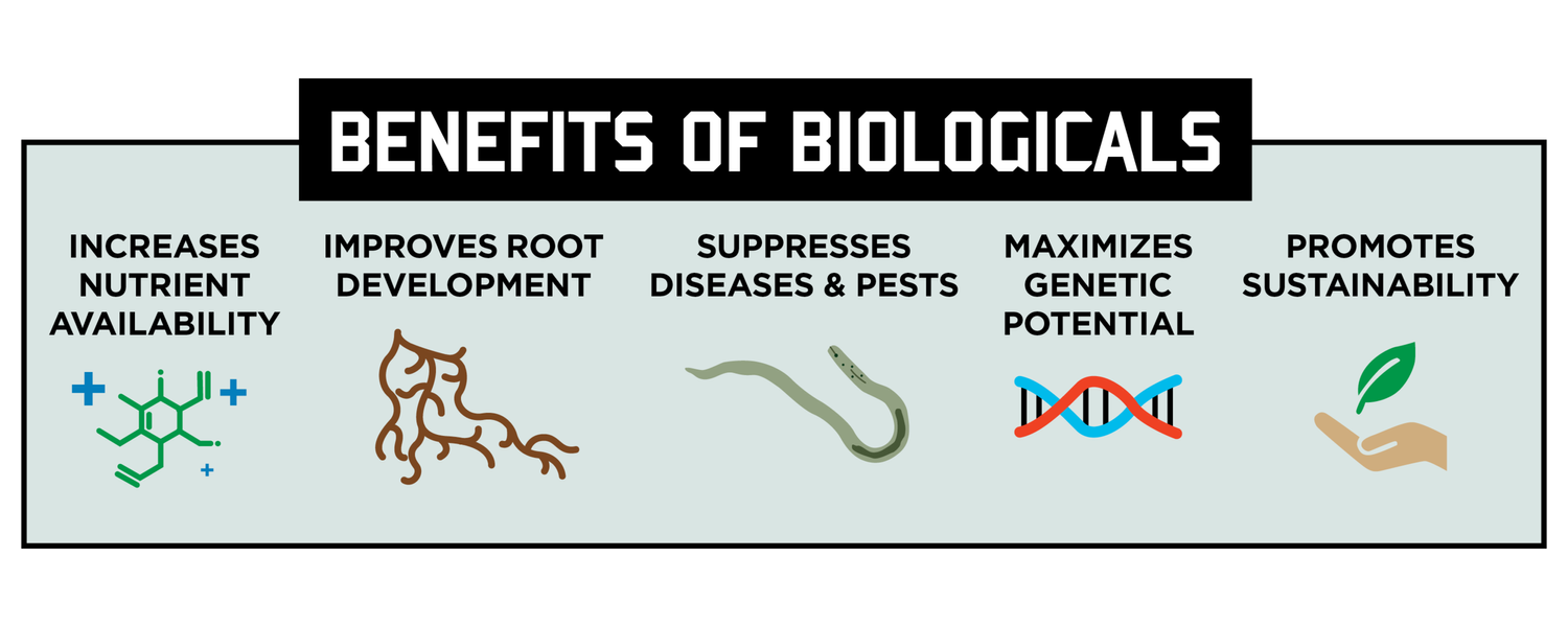 Biological Seed Treatment | Biostimulants | Unified Ag Solutions