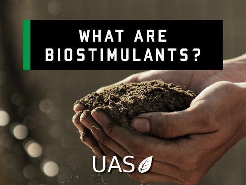 What Are Biostimulants? | Unified Ag Solutions