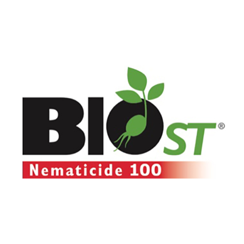 What Are Biostimulants? | Unified Ag Solutions