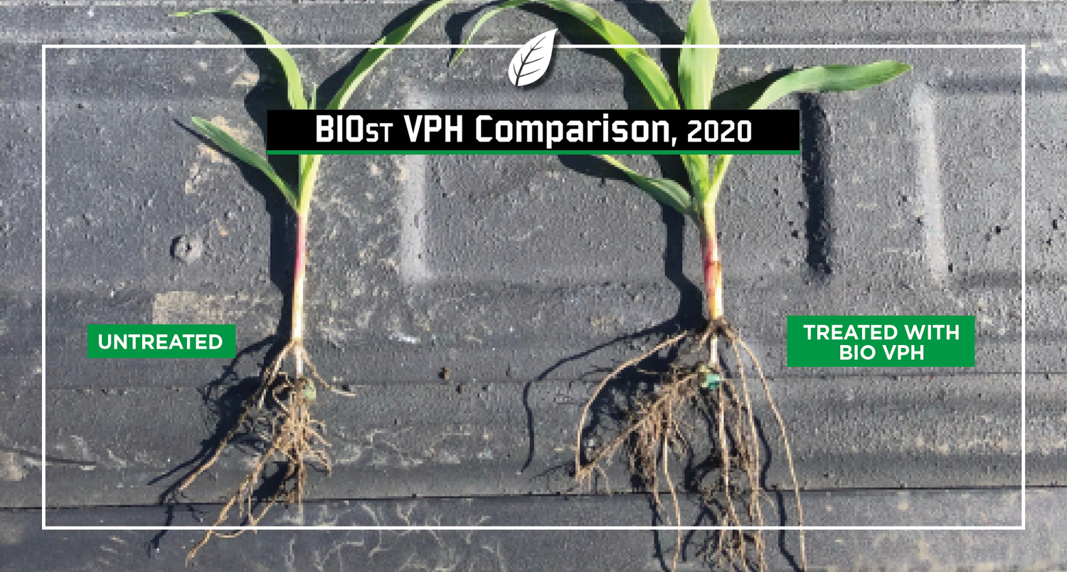 What Are Biostimulants? | Unified Ag Solutions