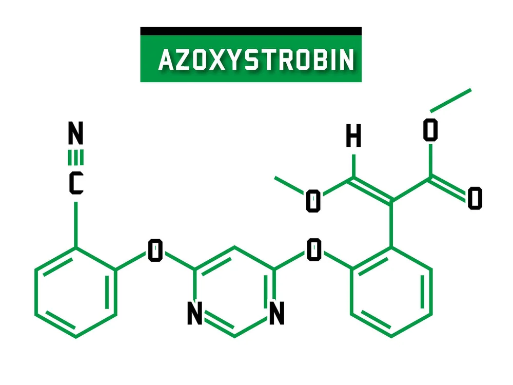 Seed Treatment: What Are Fungicides and Insecticides? | Unified Ag ...