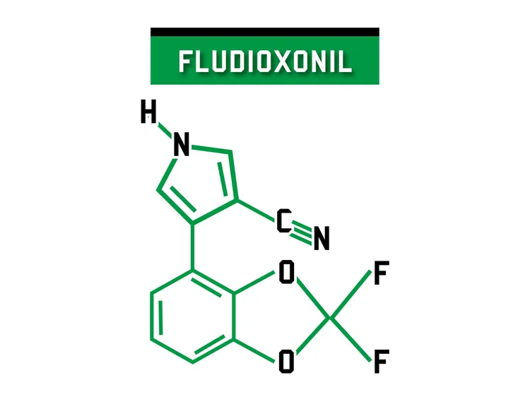 Seed Treatment: What Are Fungicides and Insecticides? | Unified Ag ...