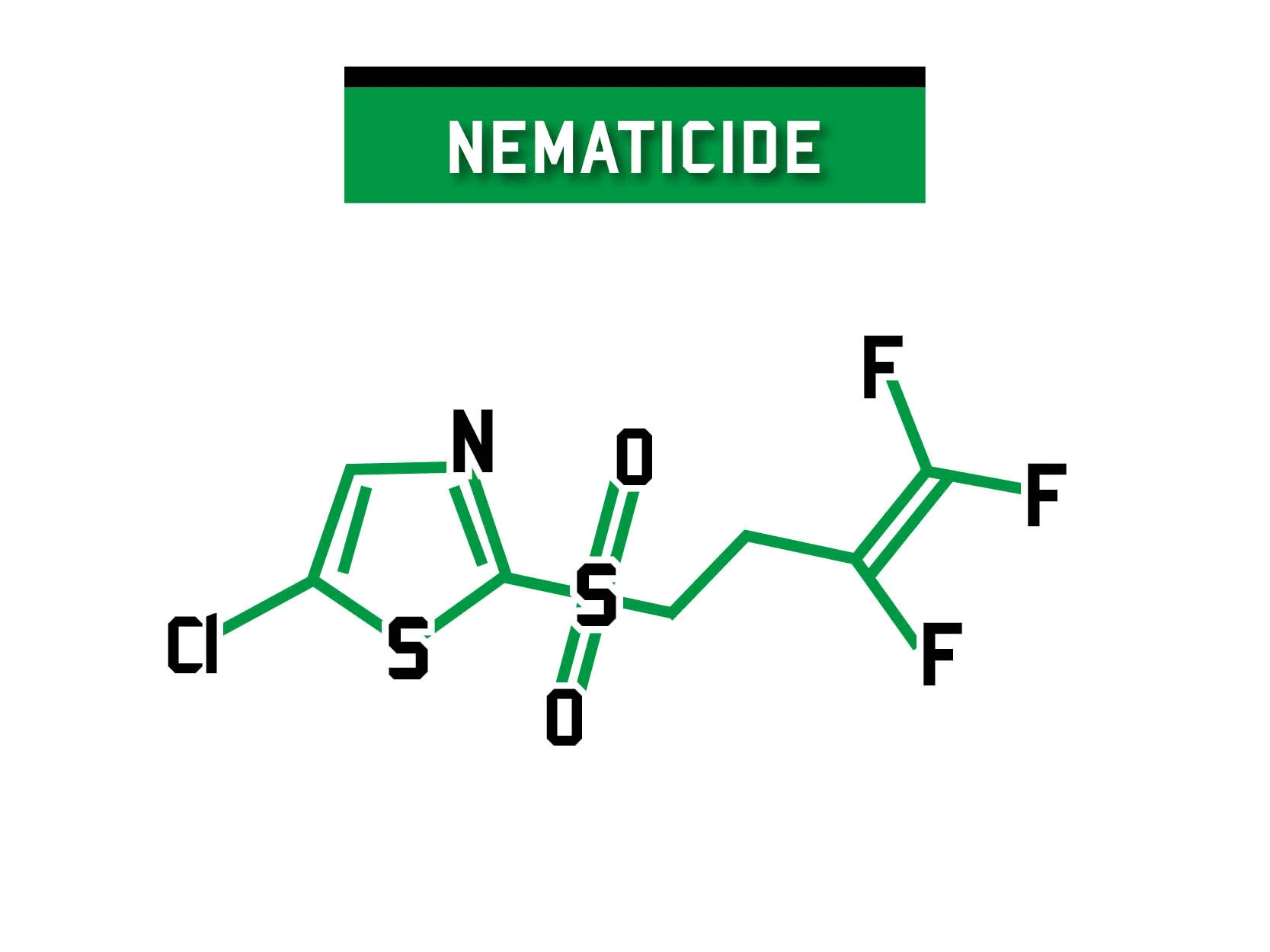 Seed Treatment: What Are Fungicides and Insecticides? | Unified Ag ...