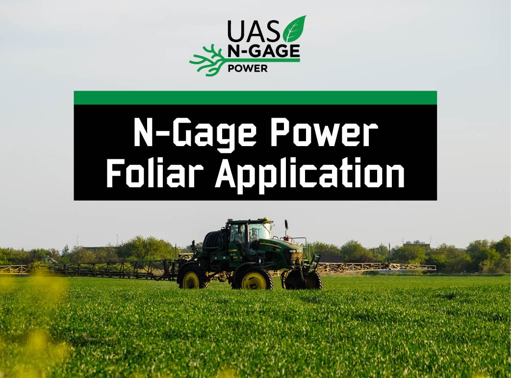 N-Gage Power: Boost Your First-Pass Foliar Application | Unified Ag ...