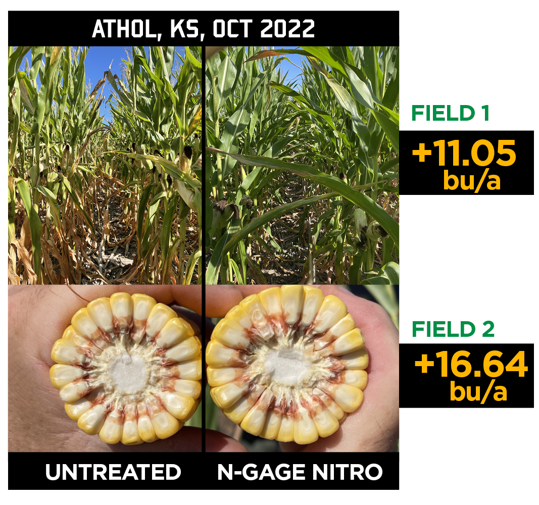 N-Gage Biologicals | N-Gage Seed Treatment | Biological Seed Treatment ...