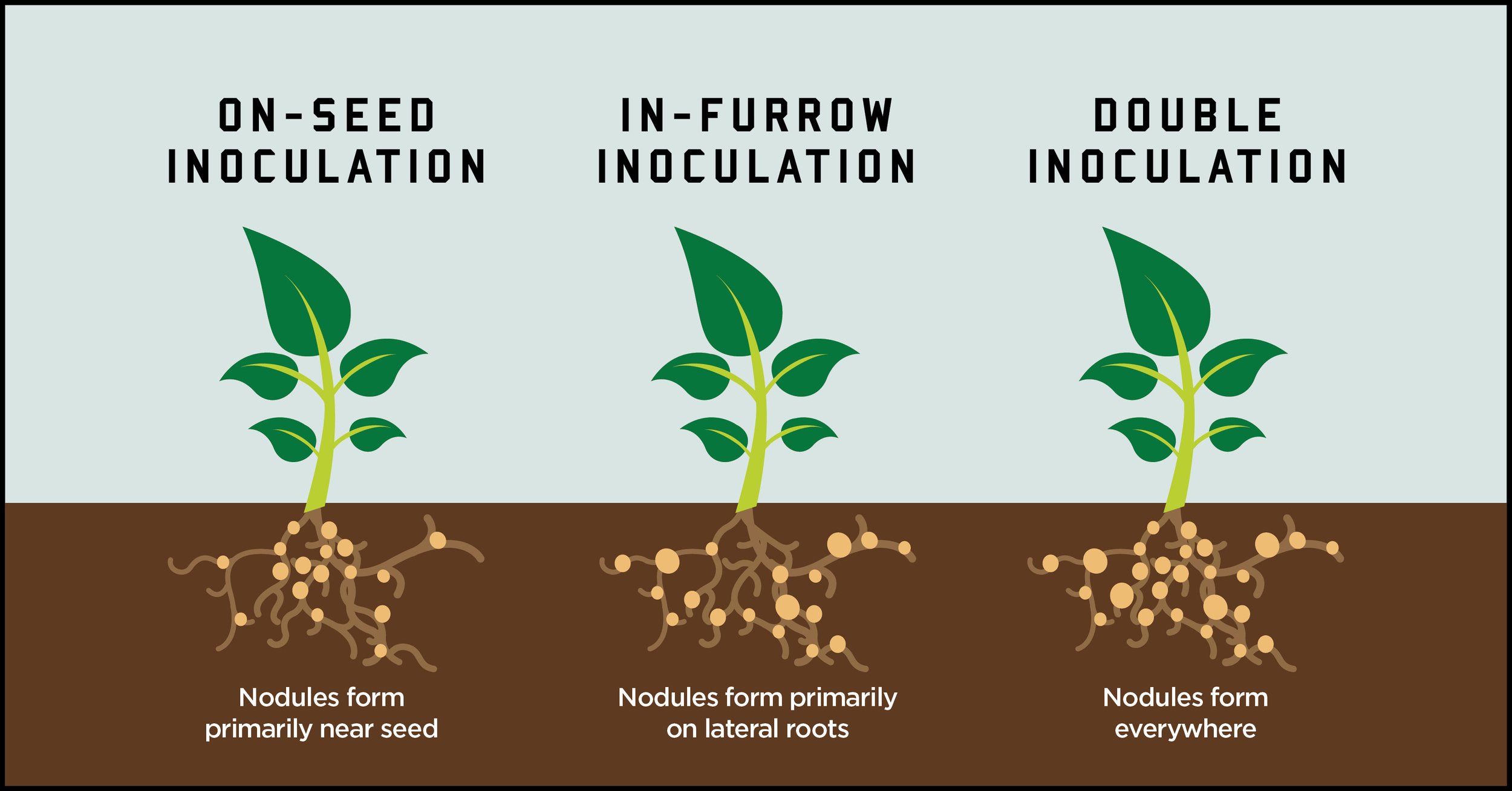 Inoculate Soybeans on Virgin Soil | Unified Ag Solutions