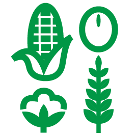 Legend™ 5L ST Insecticide | Thiamethoxam | Unified Ag Solutions