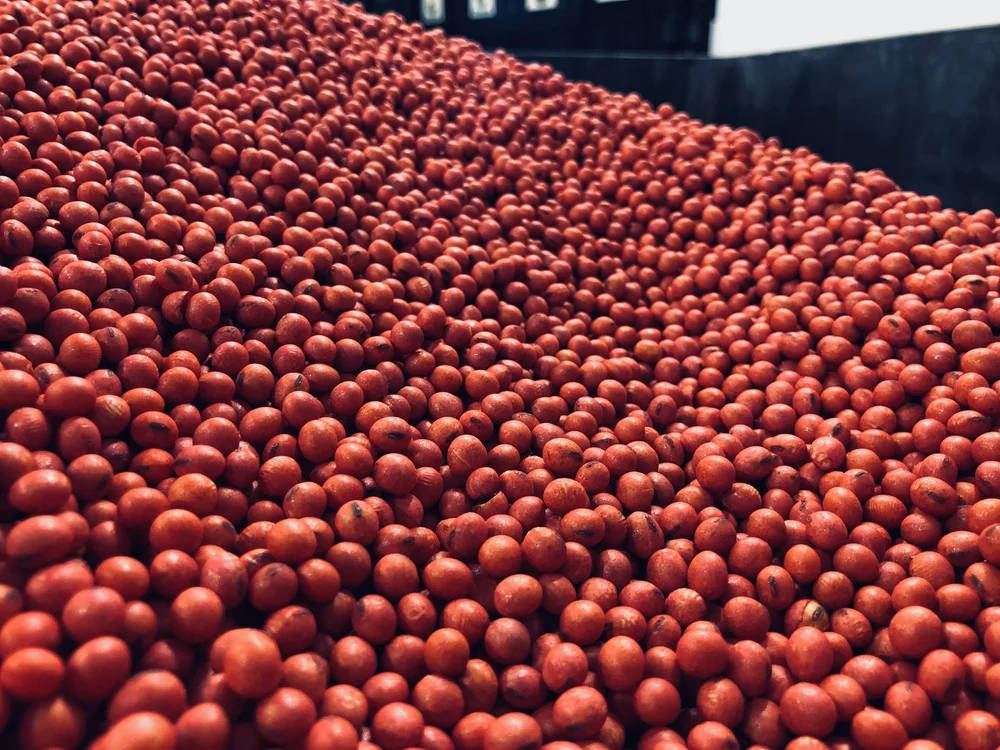 How to Build the Ideal Seed Treatment Package | Unified Ag Solutions