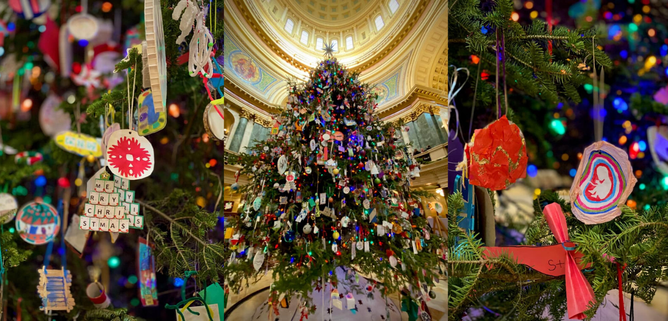 Christian School Includes Preborn in Ornament Submissions for the ...