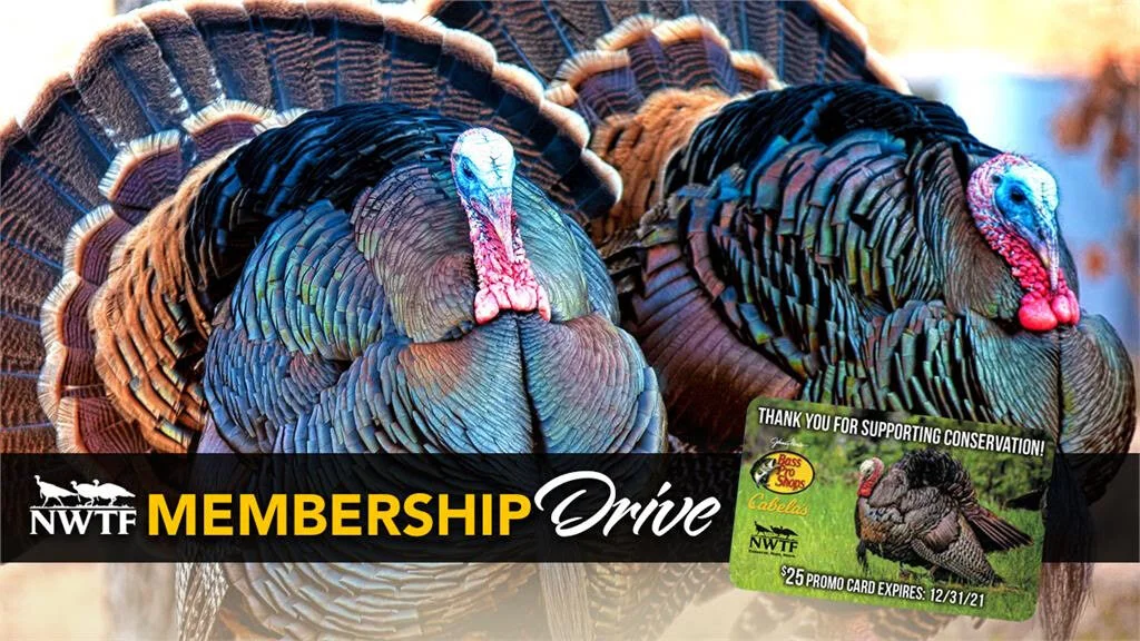 Virginia NWTF Membership Drive — Virginia State Chapter