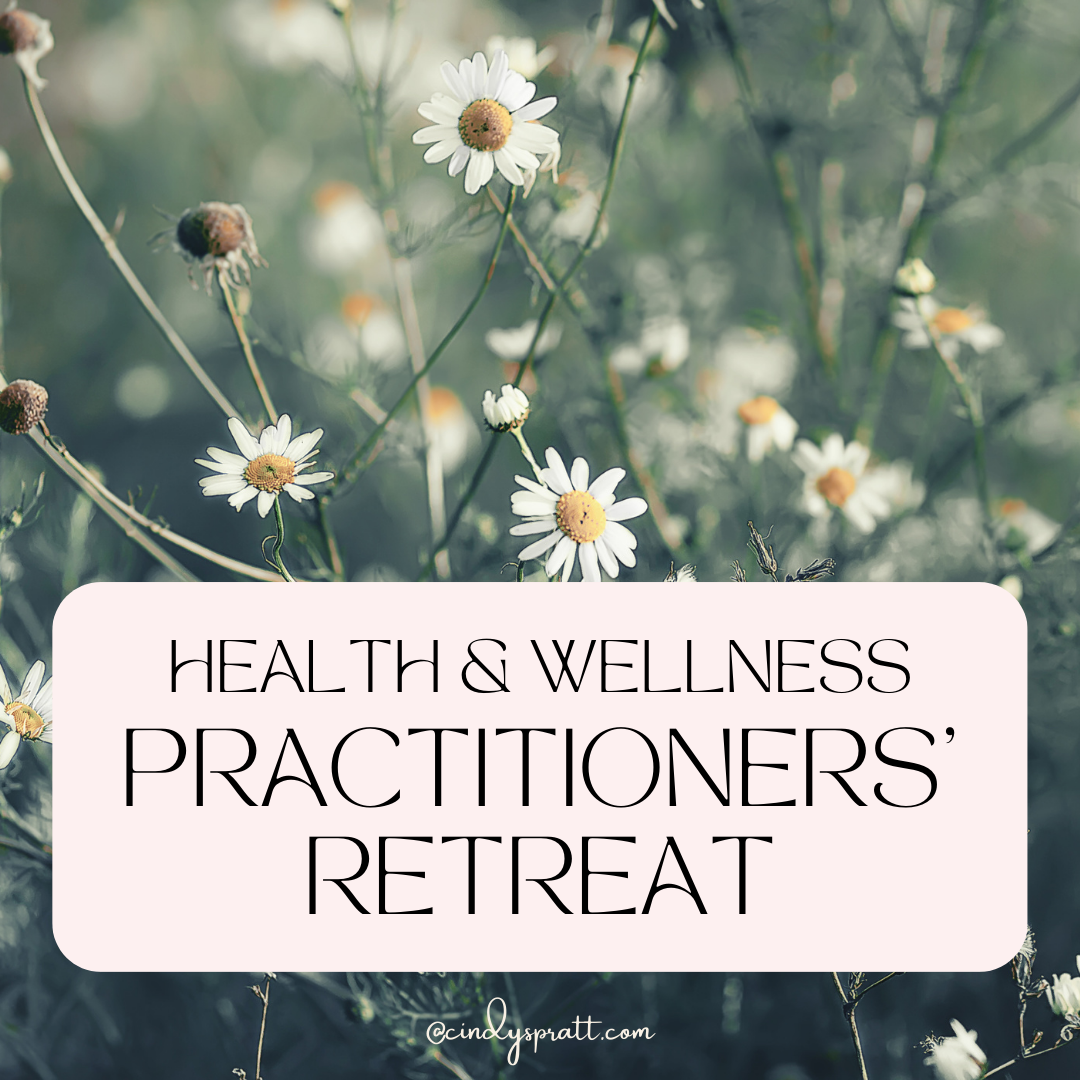 Health & Wellness Practitioners' Retreat — Cindy Spratt Nutrition