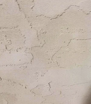 Precision Plastering