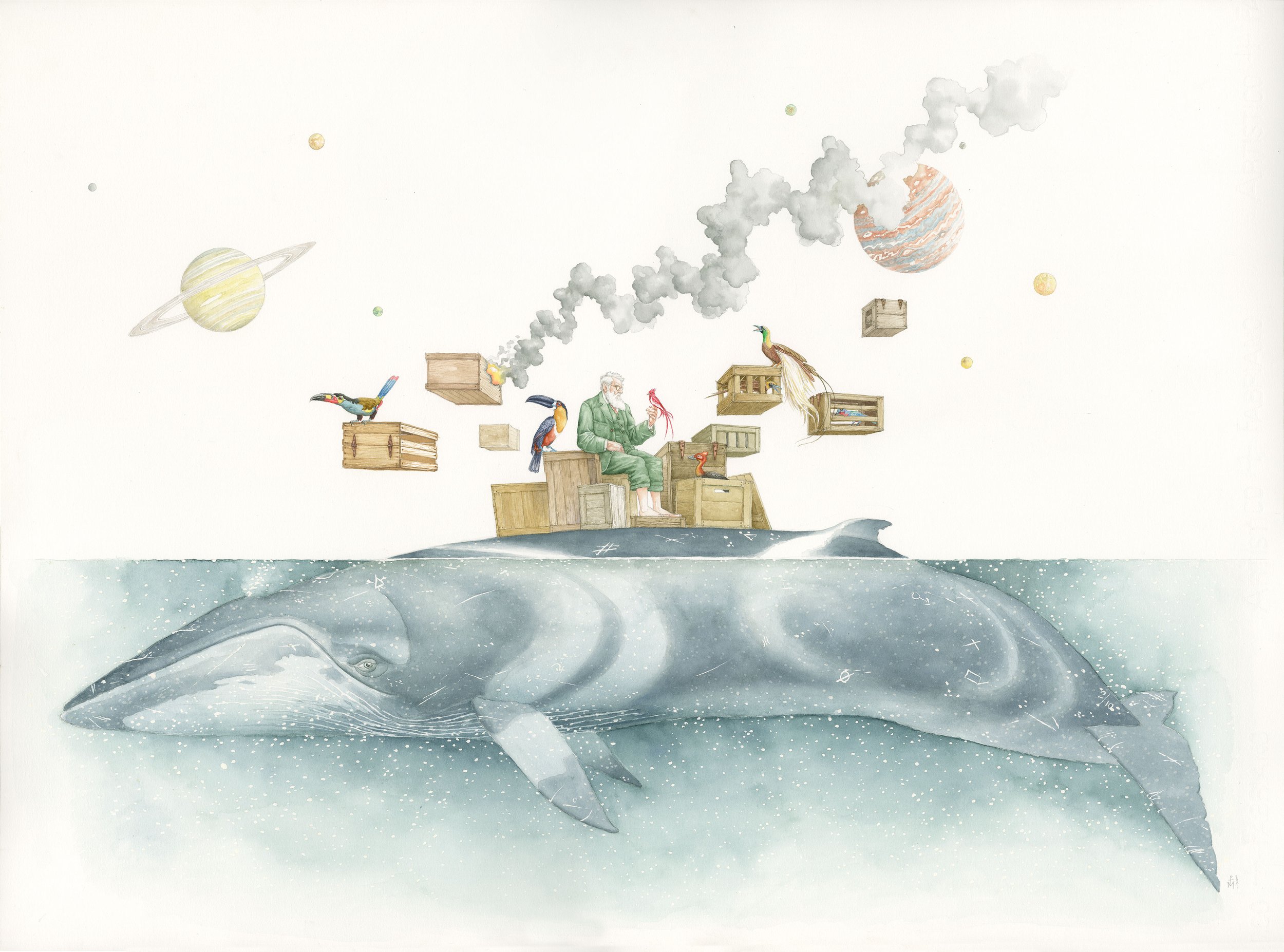 Gallery jones — Paul Morstad