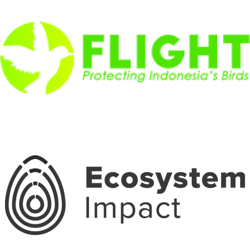 Ellen Fund Partners In Endangered Campaign The Ellen Fund Ellen ellen-fund-partners-in-endangered-campaign-the-ellen-fund-ellen