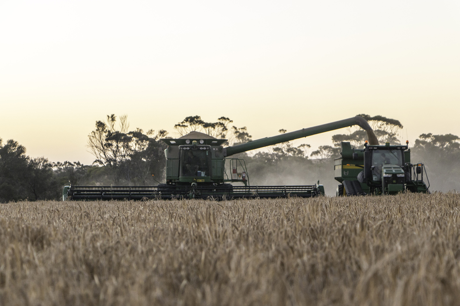 Fitzgerald Biosphere Group