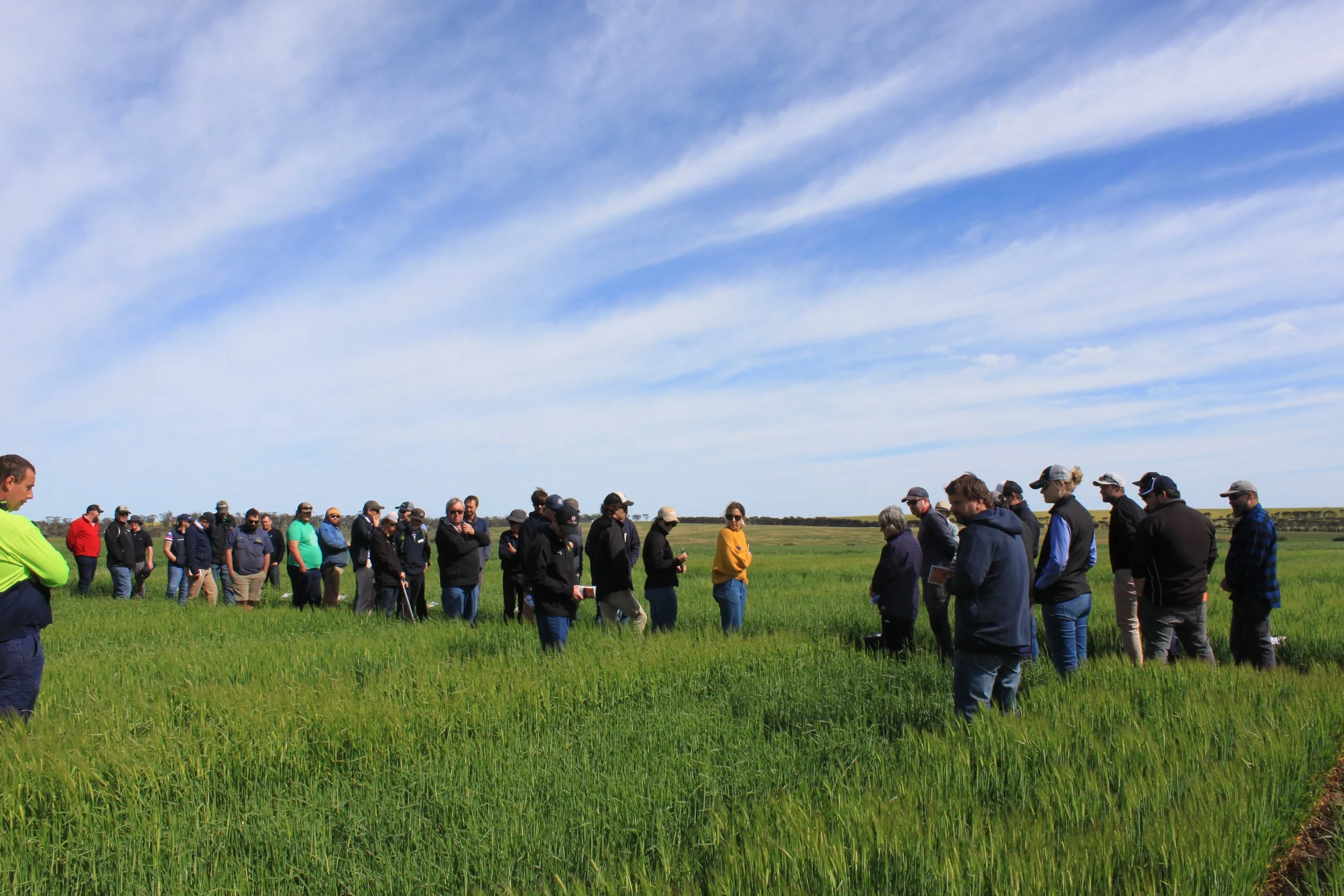 Fitzgerald Biosphere Group