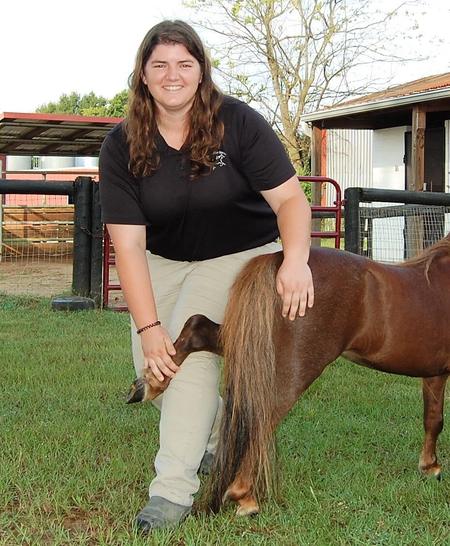 Our Team — SOUTHERN EQUINE SERVICE